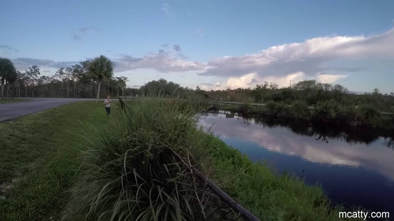 Riding Through US 41/Tamiami Trail - YouTube
