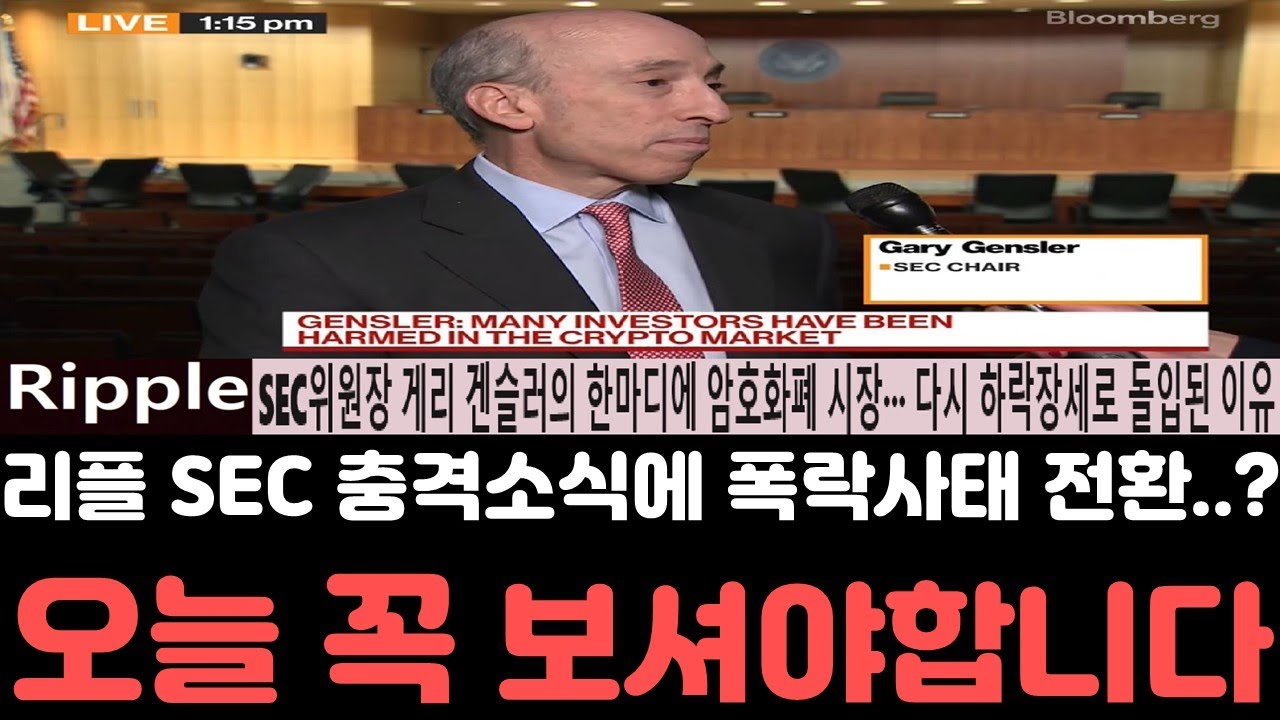 리플전망 리플 Sec위원장의 한마디에 시장은 하락장세 돌입 Xrp 항소일정 공개 오늘 영상은 꼭 보셔야합니다 리플전망 리플호재 리플급등 리플코인 리플소송