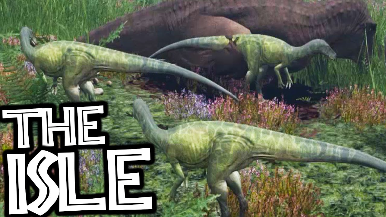 The Isle - HERRERA PACK HUNTING, SCAVENGING (Gameplay) - YouTube