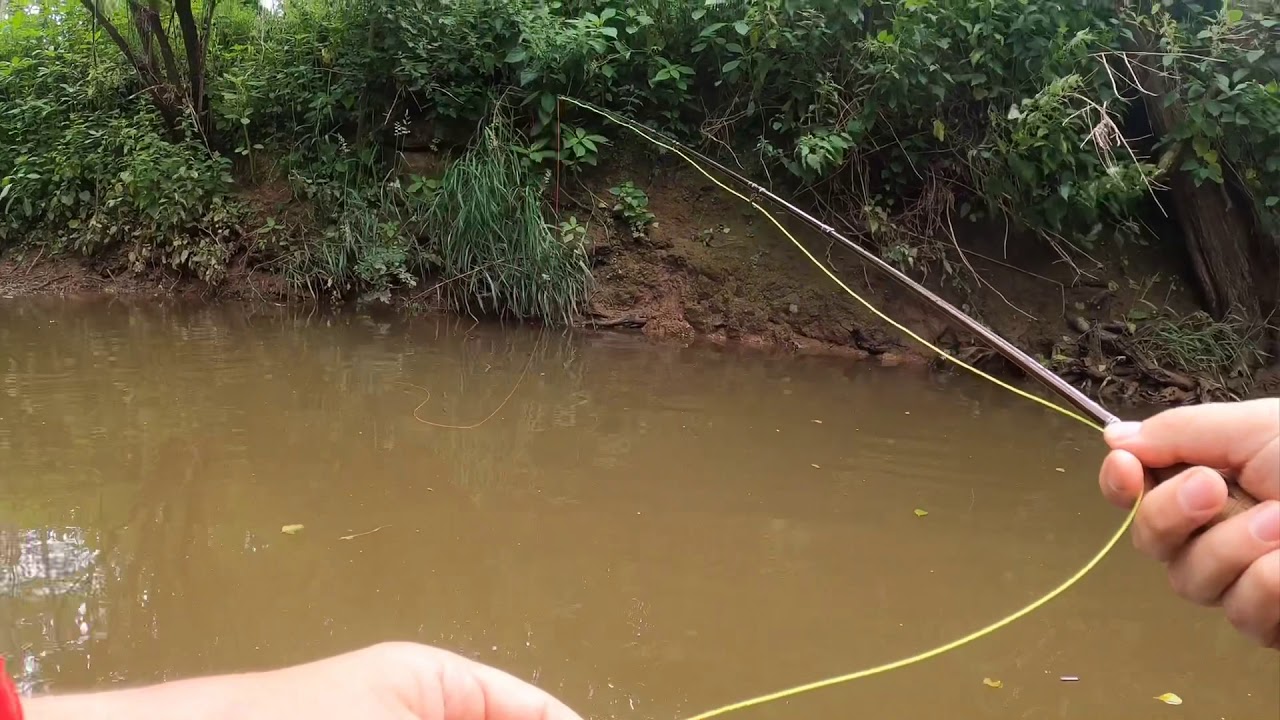 GoPro Hero 8: Fly Fishing for trout on the River Leadon - YouTube