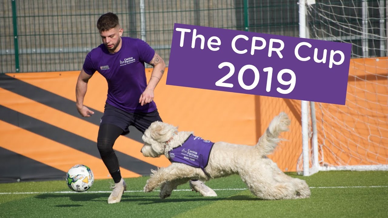 The CPR Cup | Canine Partners - YouTube