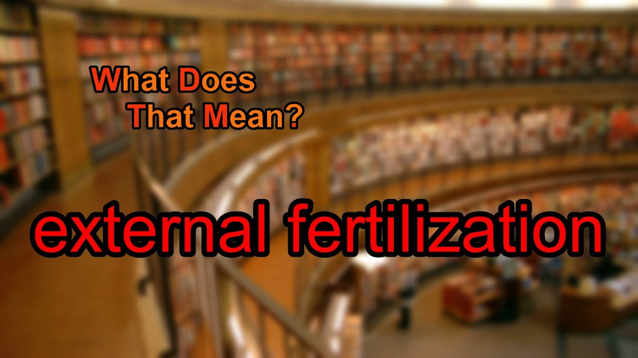 What Does External Fertilization Mean YouTube what-does-external-fertilization-mean-youtube
