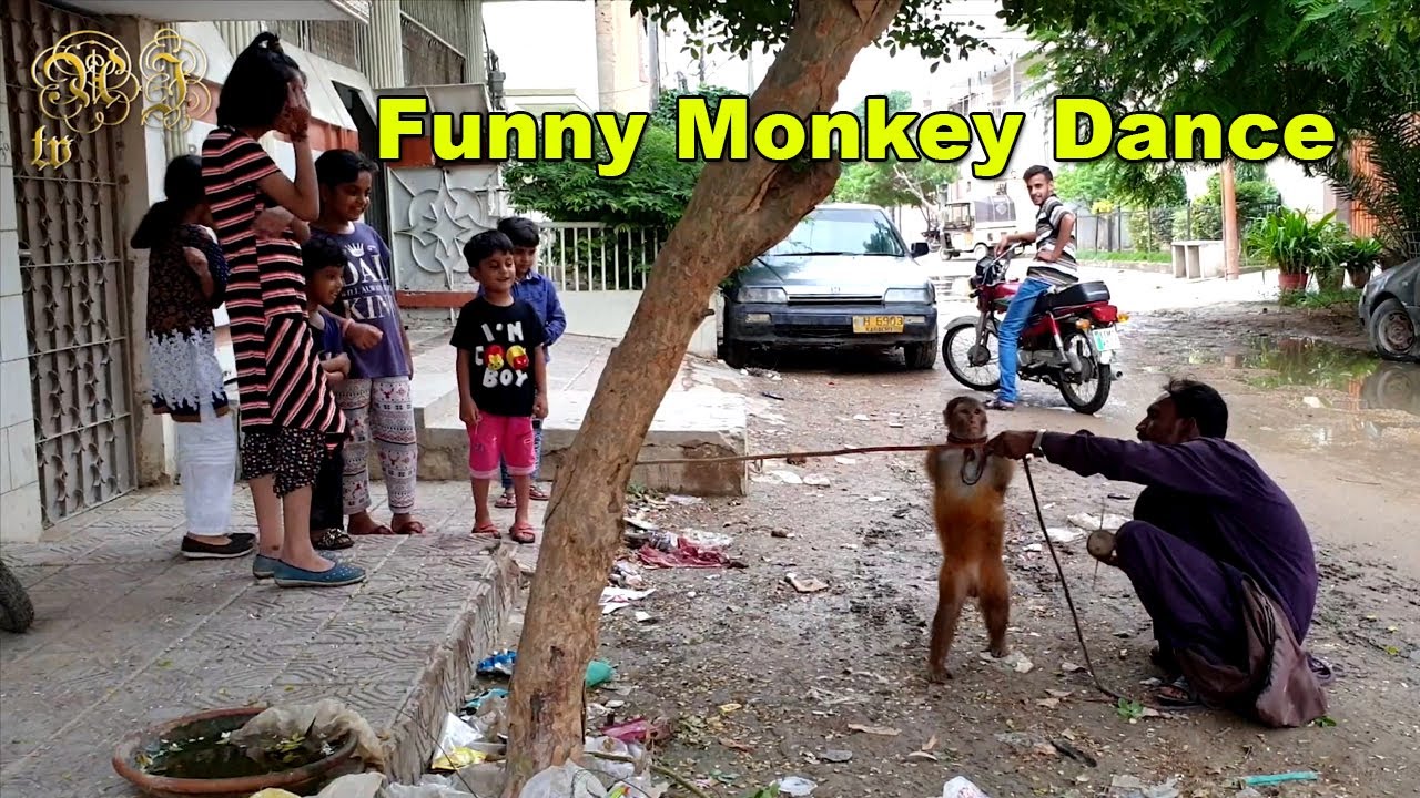 Funny Monkey Dance | Street Entertainer | Monkey Show Karachi | Adeel ...