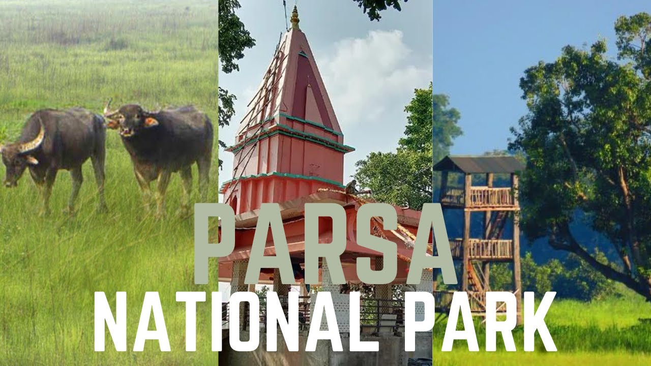 PARSA NATIONAL PARK | Bhata Mandir - YouTube