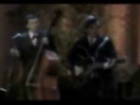 Wild One - BR549,tv - YouTube