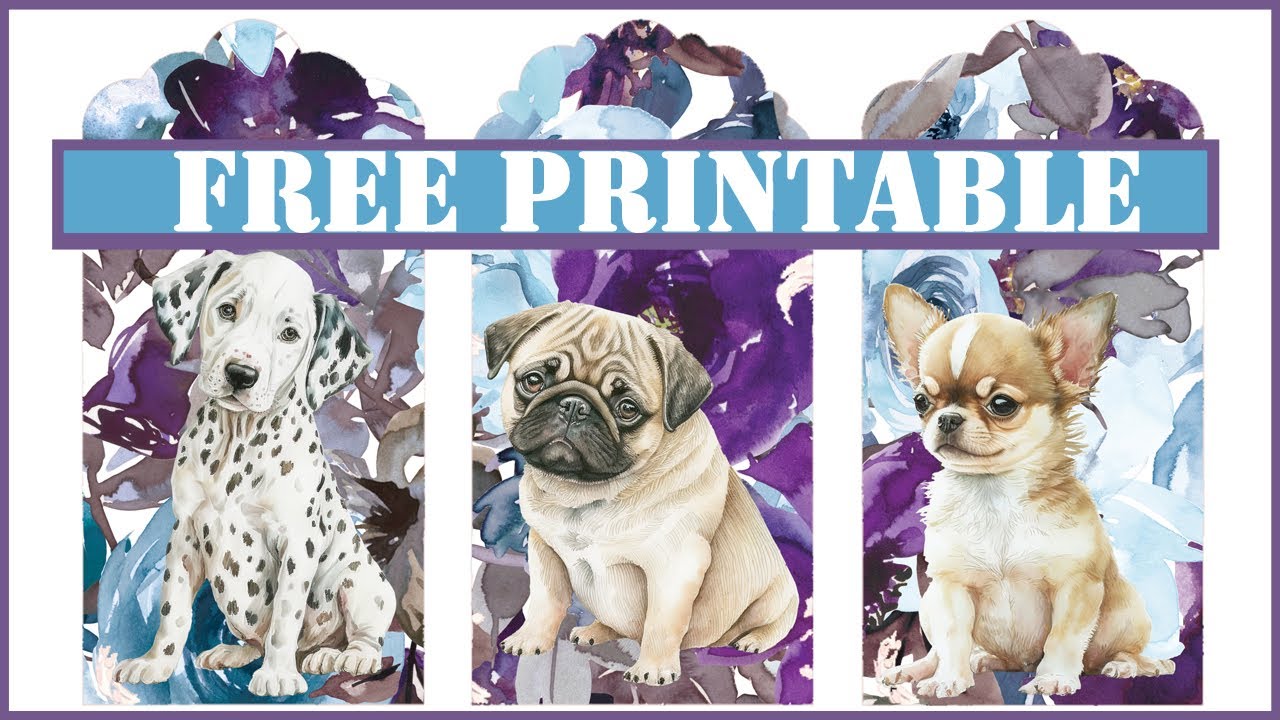 🦋🎁 Friday freebie free printables craft giveaway - YouTube