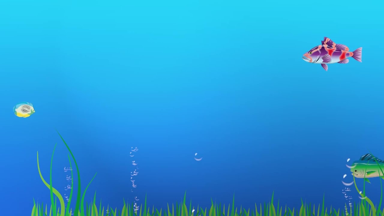 2D animation Aquarium | Clam music - YouTube