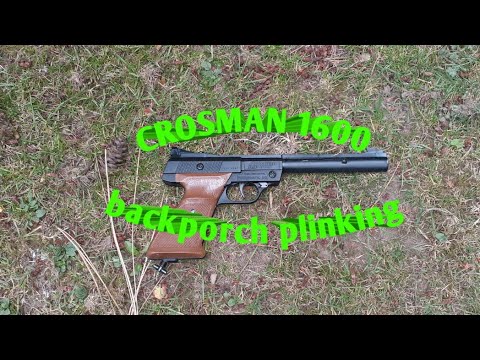 Crosman 1600 *backporch plinking - YouTube