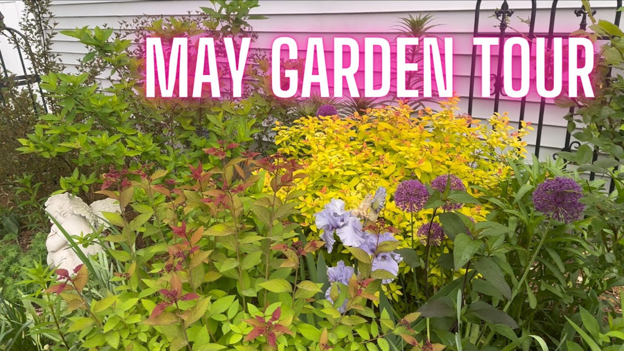 MAY GARDEN TOUR 2025 | GARDEN CLUB SALE & BEAUTIFUL BLOOMS #gardentour ...