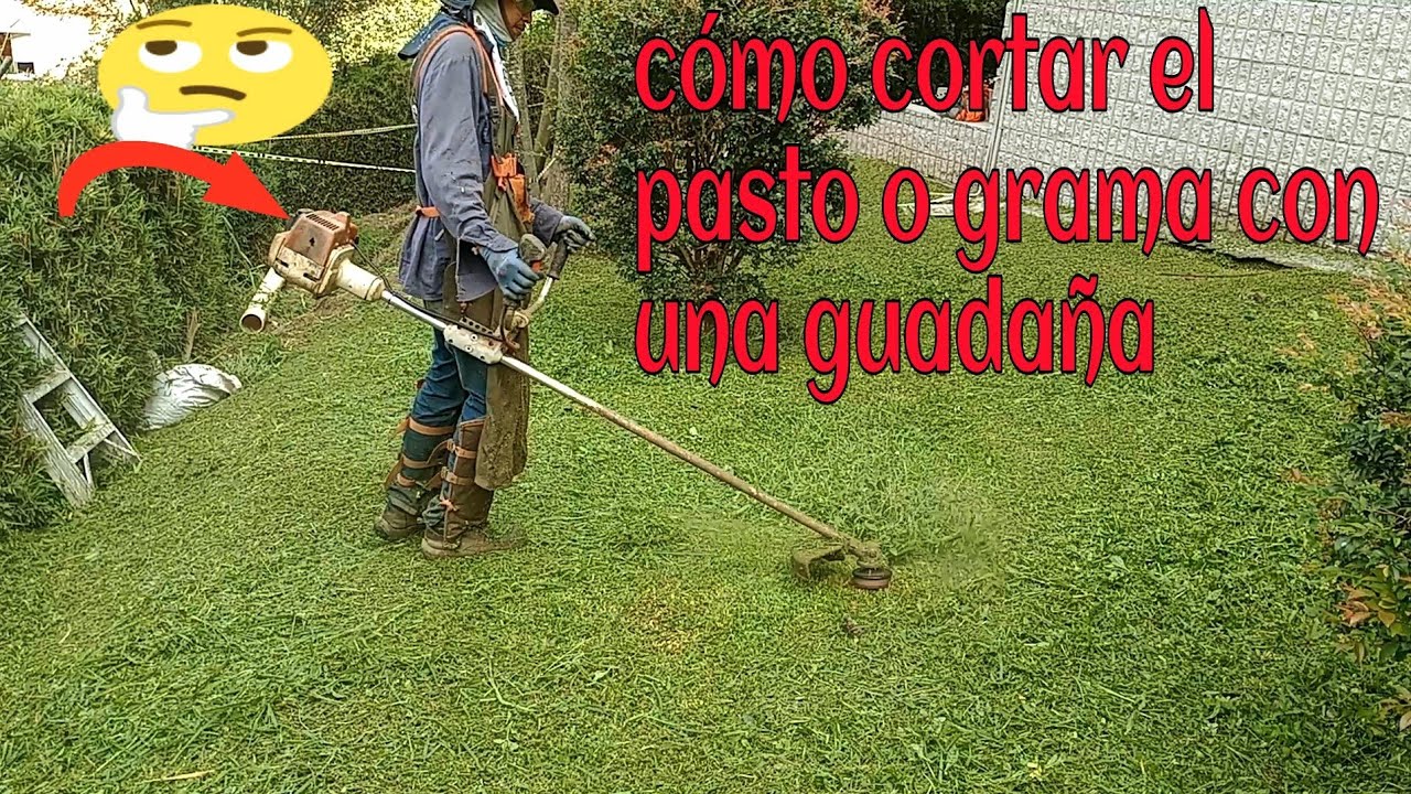 GUADAÑA STIHL cómo cortar pasto o grama con tu guadaña STIHL muy fácil ...