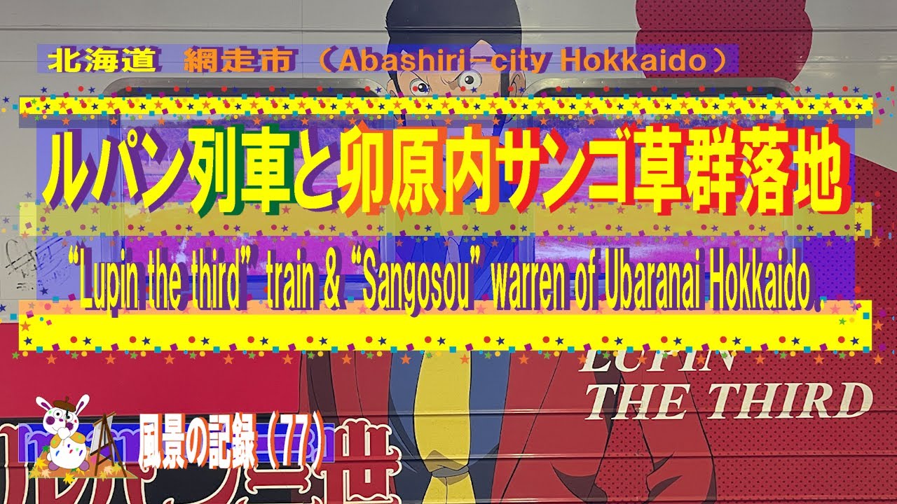 ルパン列車と卯原内サンゴ草群落地 【"Lupin the third" train & "Sangosou" warren of ...