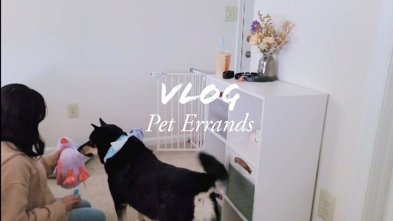A Day for Pet Errands and Organizing Pet Supplies / Living Alone with ...
