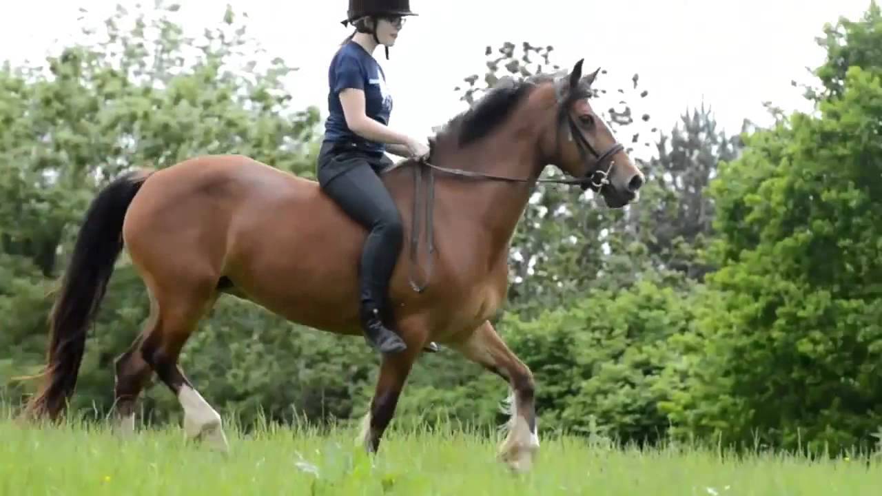 Bareback Raws - YouTube