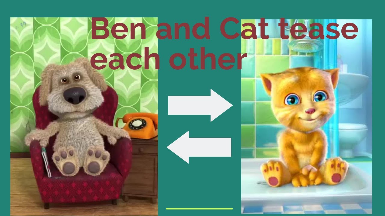 Ben and Cat tease each other 😊 #talking_dog_ben #dogben - YouTube