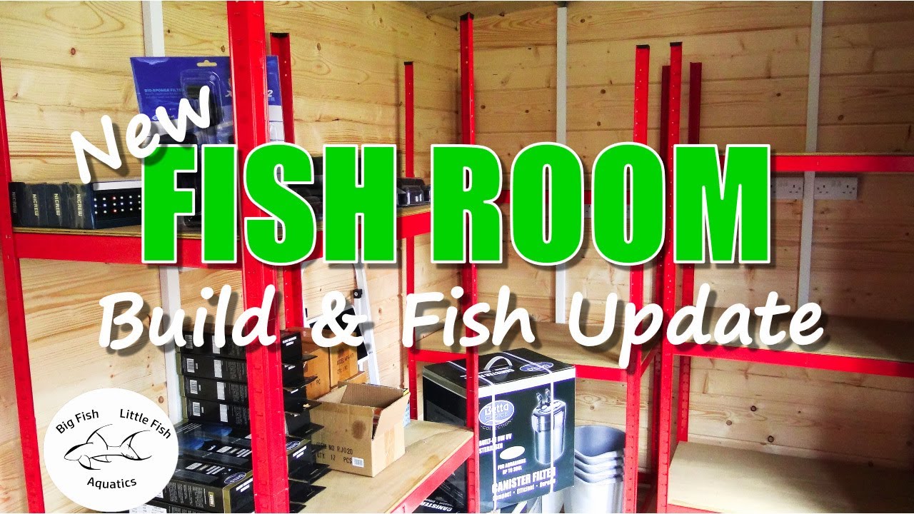 New Fish Room Build | Fish Update - YouTube