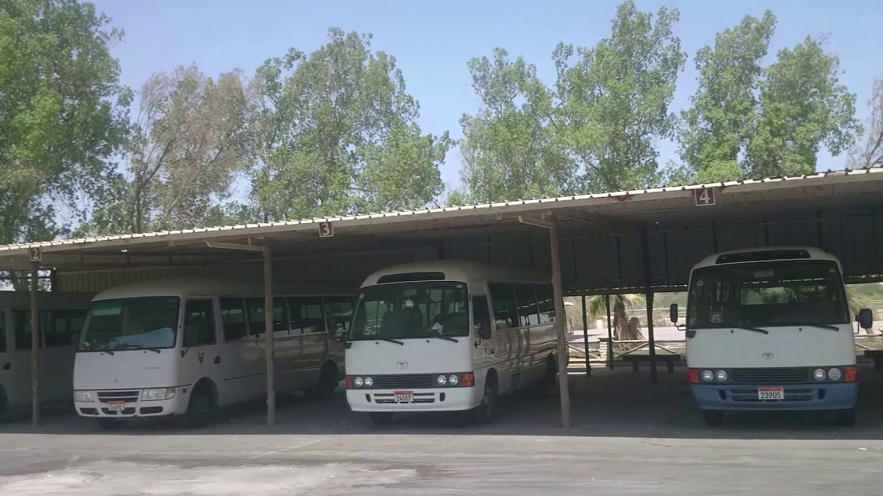 Al Reen Wildlife Park Bahrain - محمية العرين - YouTube