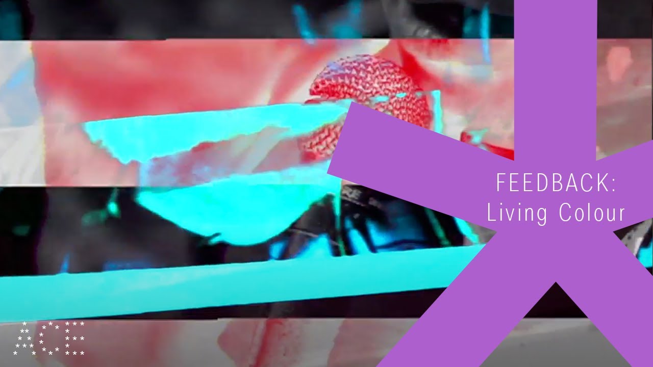 FEEDBACK: Living Colour - YouTube