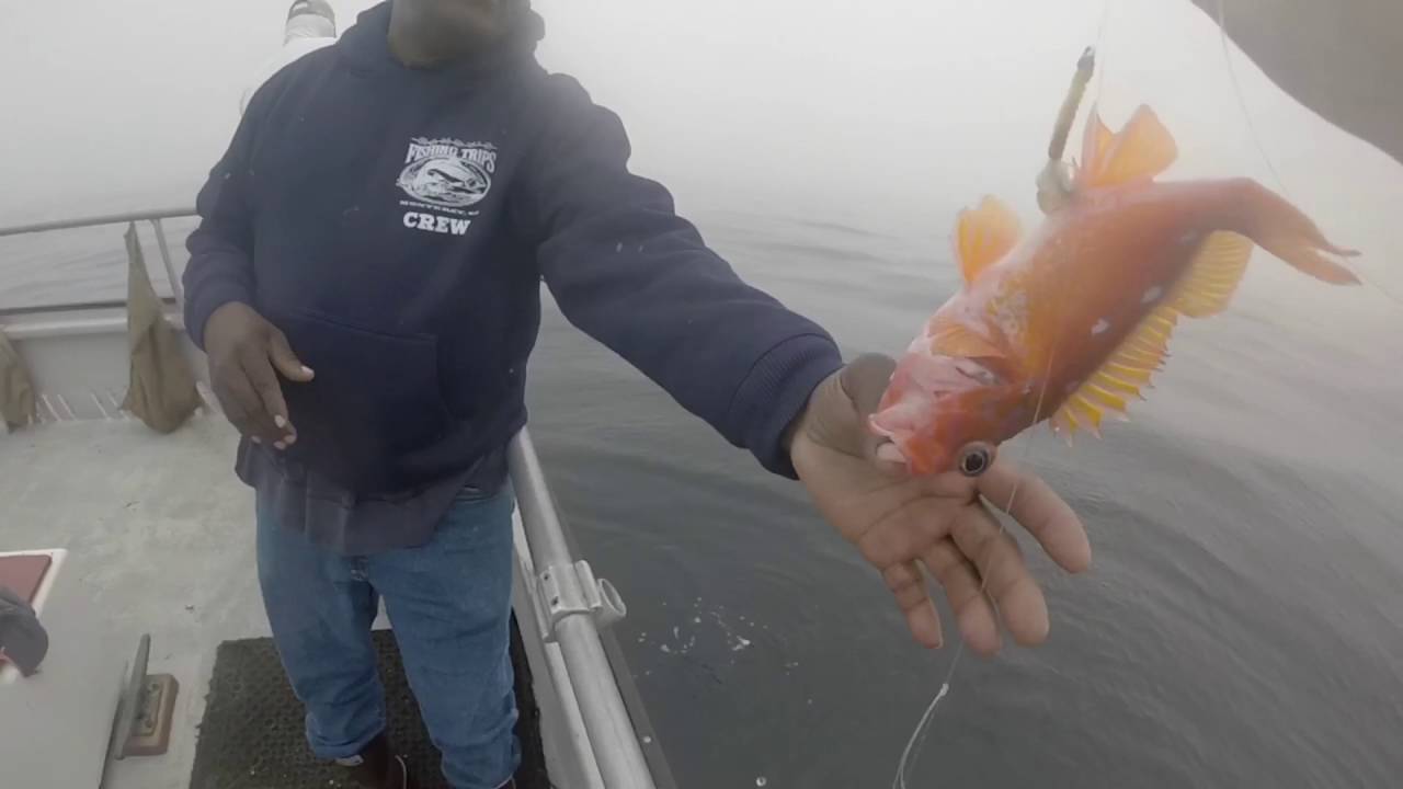 Monterey bay ca rock cod fishing - YouTube