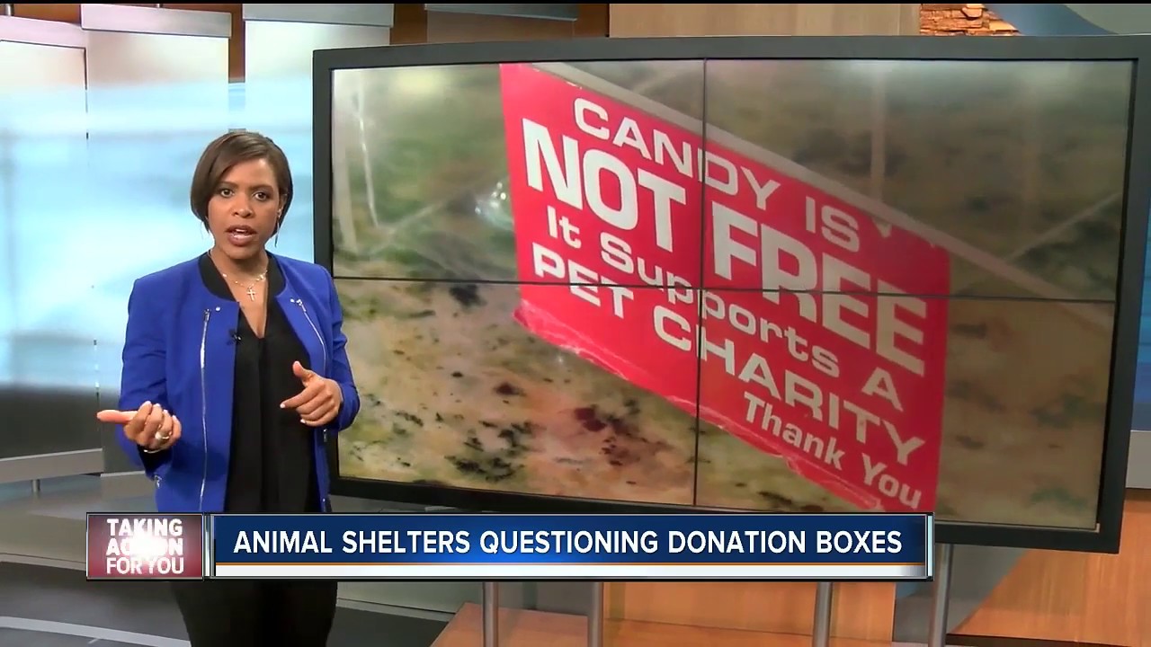 Scammers create fake donation boxes - YouTube