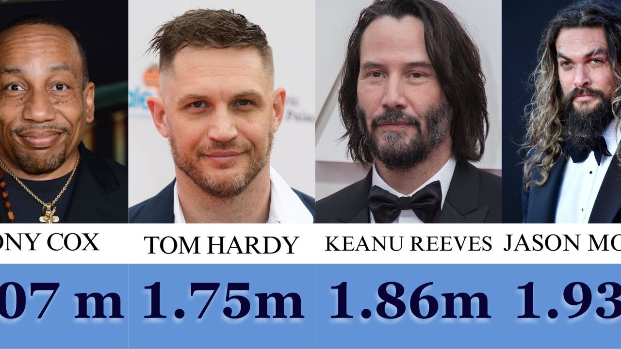 Height Comparison of Hollywood Actors Shortest to Tallest - YouTube
