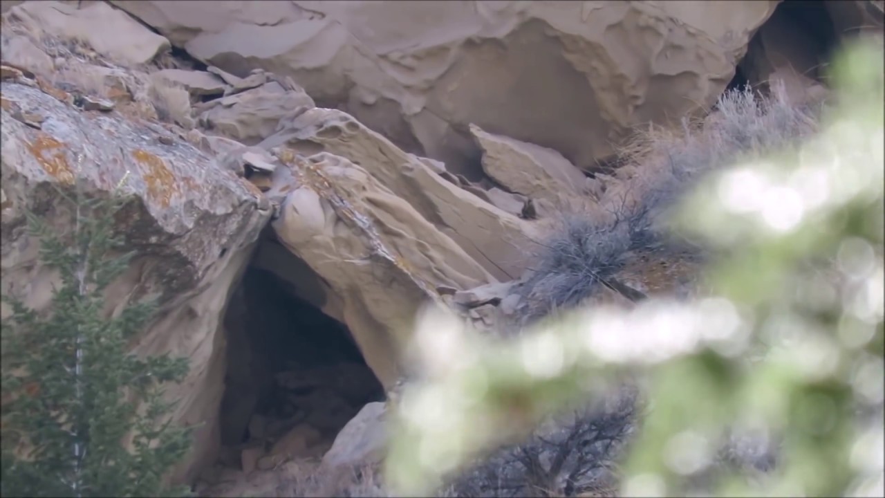 Cave Eyeshine Observing Bigfoot Investigators - YouTube