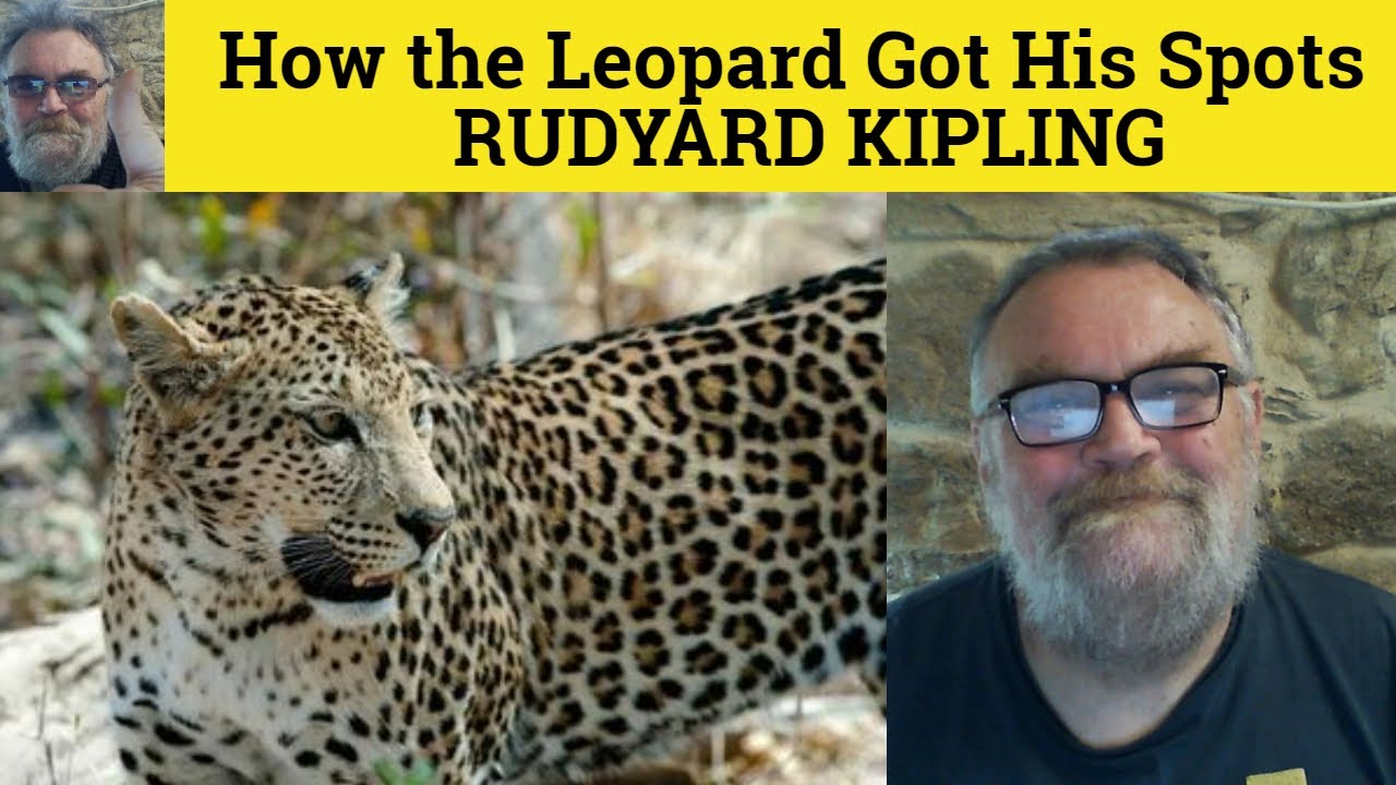🔵 How the Leopard Got His Spots - British English Reading - Short Story ...