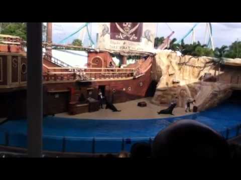 Clyde and Seamore Take Pirate Island- SeaWorld, Orlando, FL - YouTube