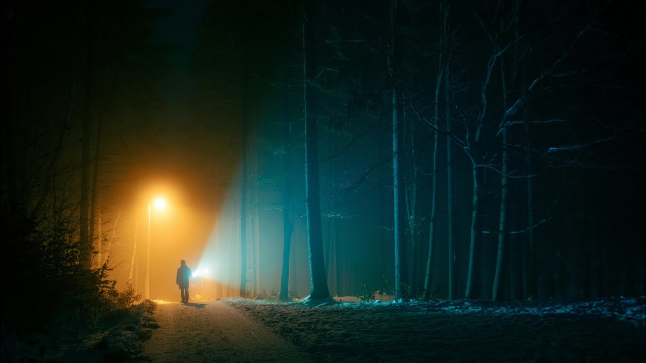 Terrifying Night: Lost Girl Vanishes in Haunted Forest - SCARY STORY ...