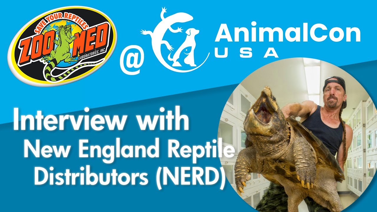 New England Reptile Distributors (NERD) Interview with Kevin McCurley ...