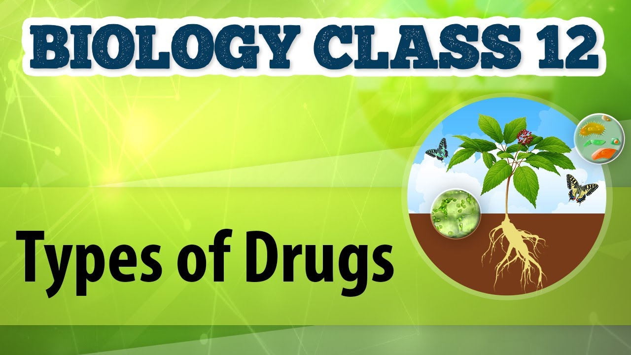 Types of Drugs - Human Health & Diseases - Biology Class 12 - YouTube