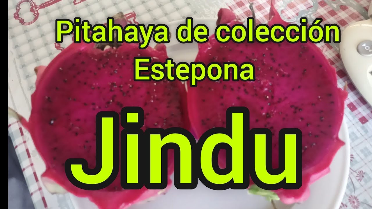 Jindu, pesamos y medimos sus brix - YouTube