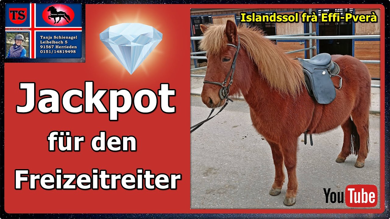 Islandssol frà Effi-Pverà, Islandpferd, Isländer, Kinder, Therapie ...