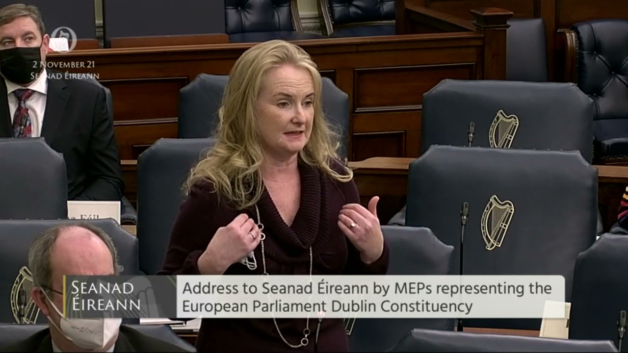 Senator Mary Fitzpatrick- speech from 2 Nov 2021 - YouTube