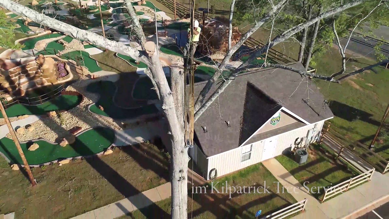 Tim Kilpatrick Tree Service - YouTube