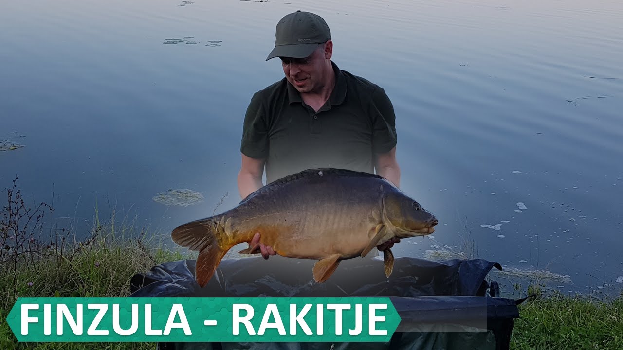 Ribolov šarana, Finzula - Rakitje, pozicija plaža - YouTube
