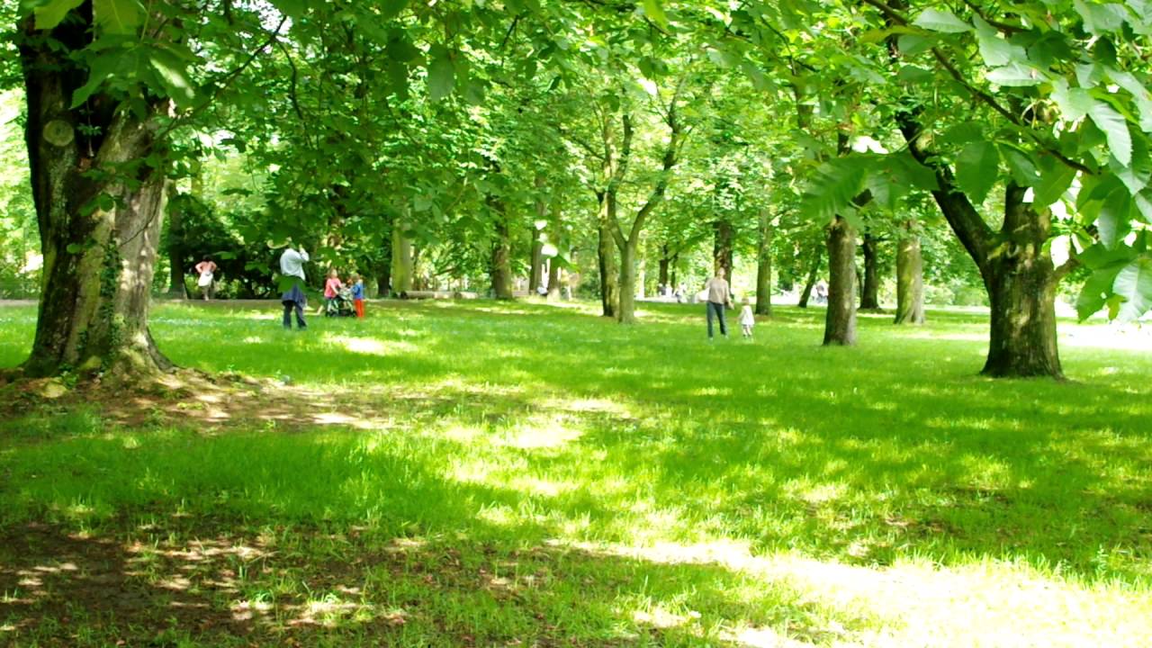 In parc in Frankfurt am Main - YouTube