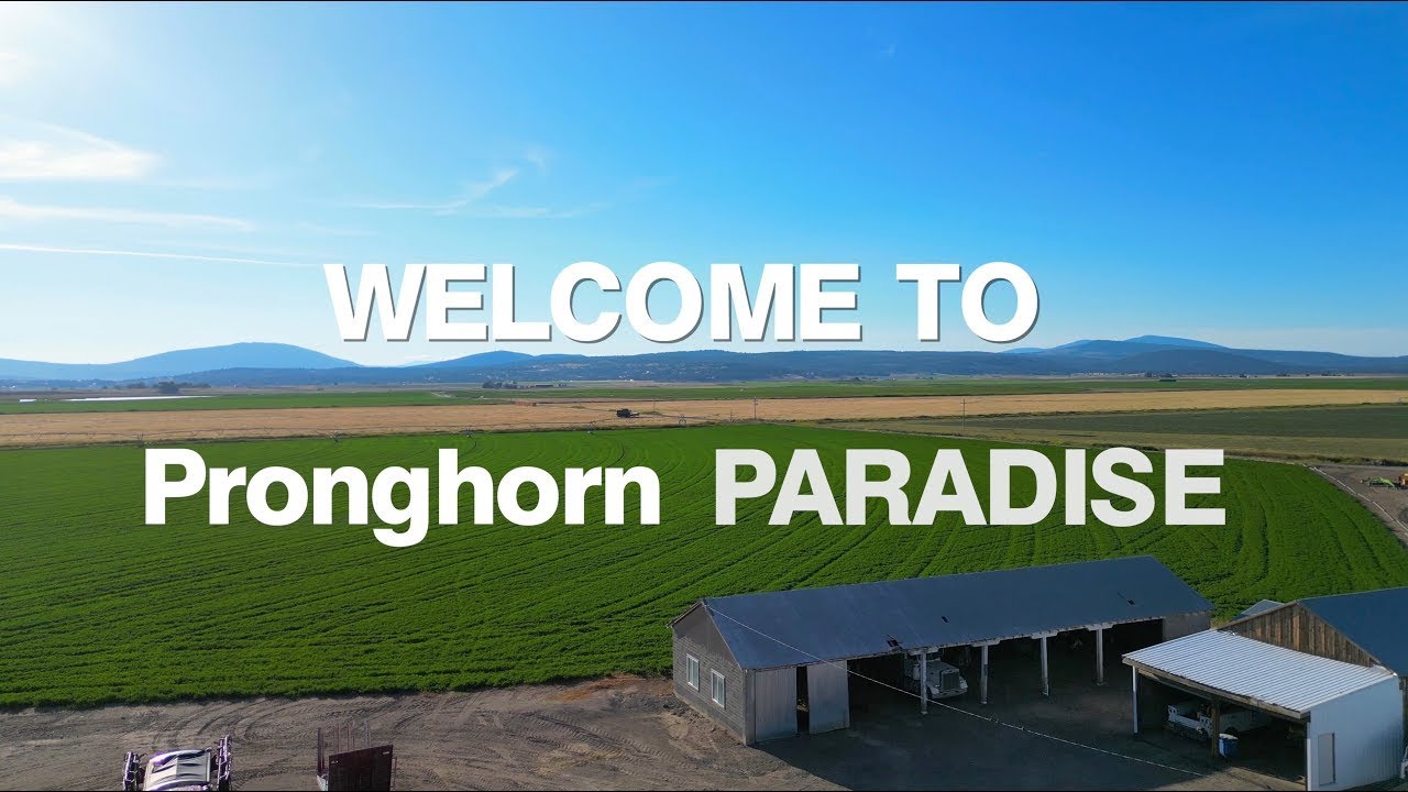 Pronghorn Paradise Ranch | Bonanza, Oregon - YouTube