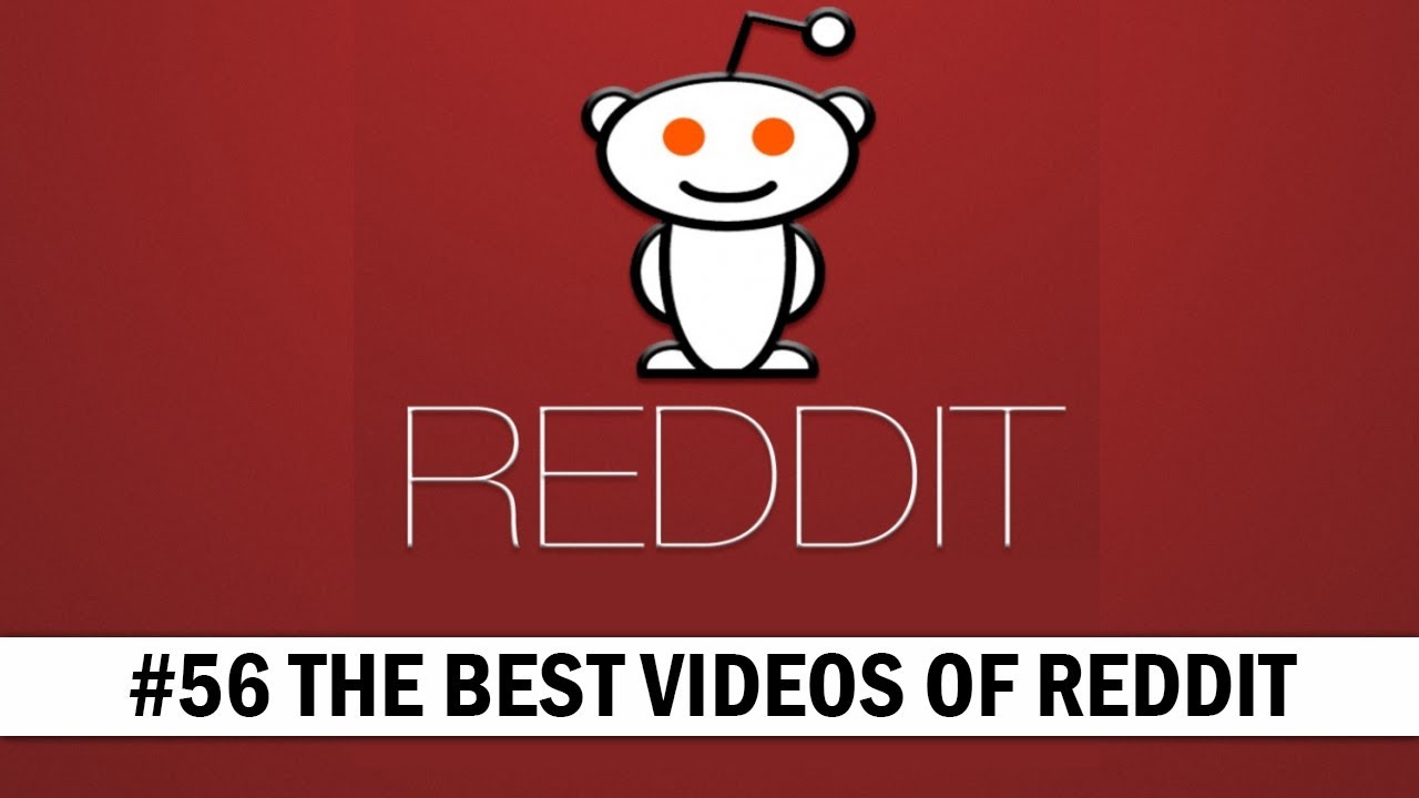 THE BEST VIDEOS OF REDDIT. What is this? - YouTube