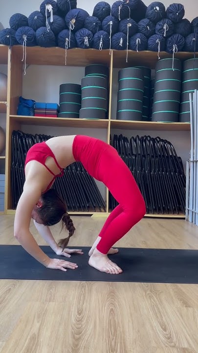 Back Bending Yoga Yogaforweightloss Yogamusic Shorts Vinyasa Yogaforbeginners Armworkouts