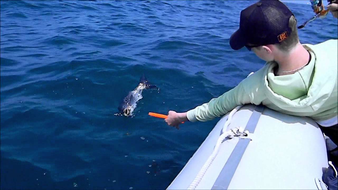 MARVIN FISHING - PECHE AU LEURRE SOUPLE - TEAM BRUNABAR - YouTube