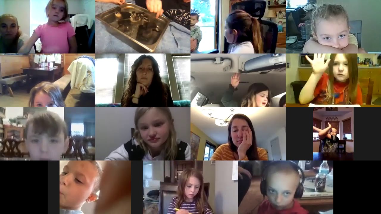 5-19 Duck Zoom and Parent Meeting - YouTube