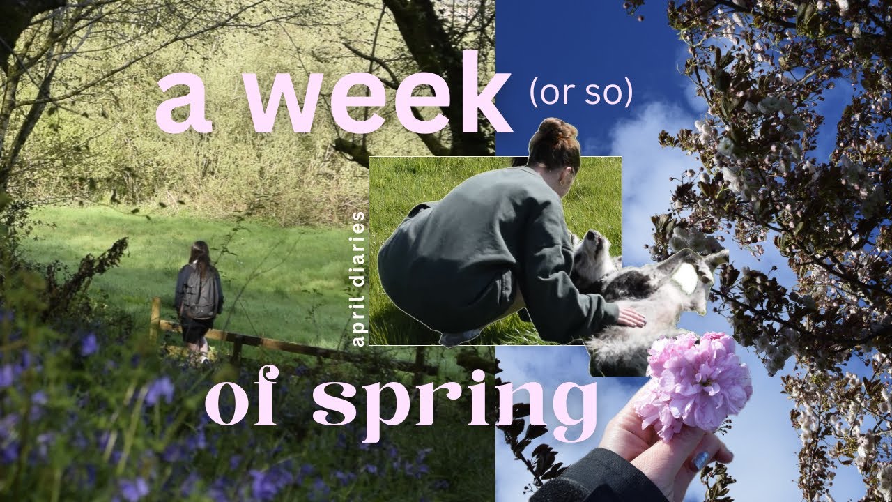 a week of spring [my second ever video] - YouTube
