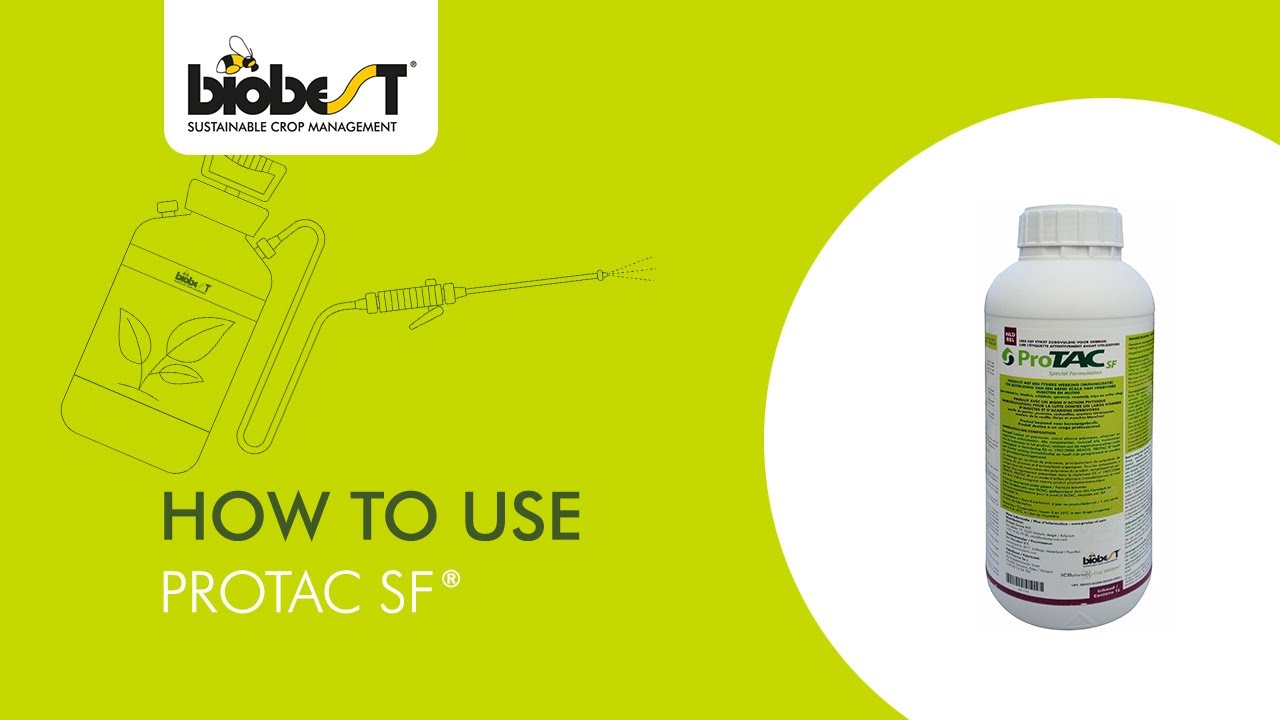 How to use Protac SF from Biobest - YouTube