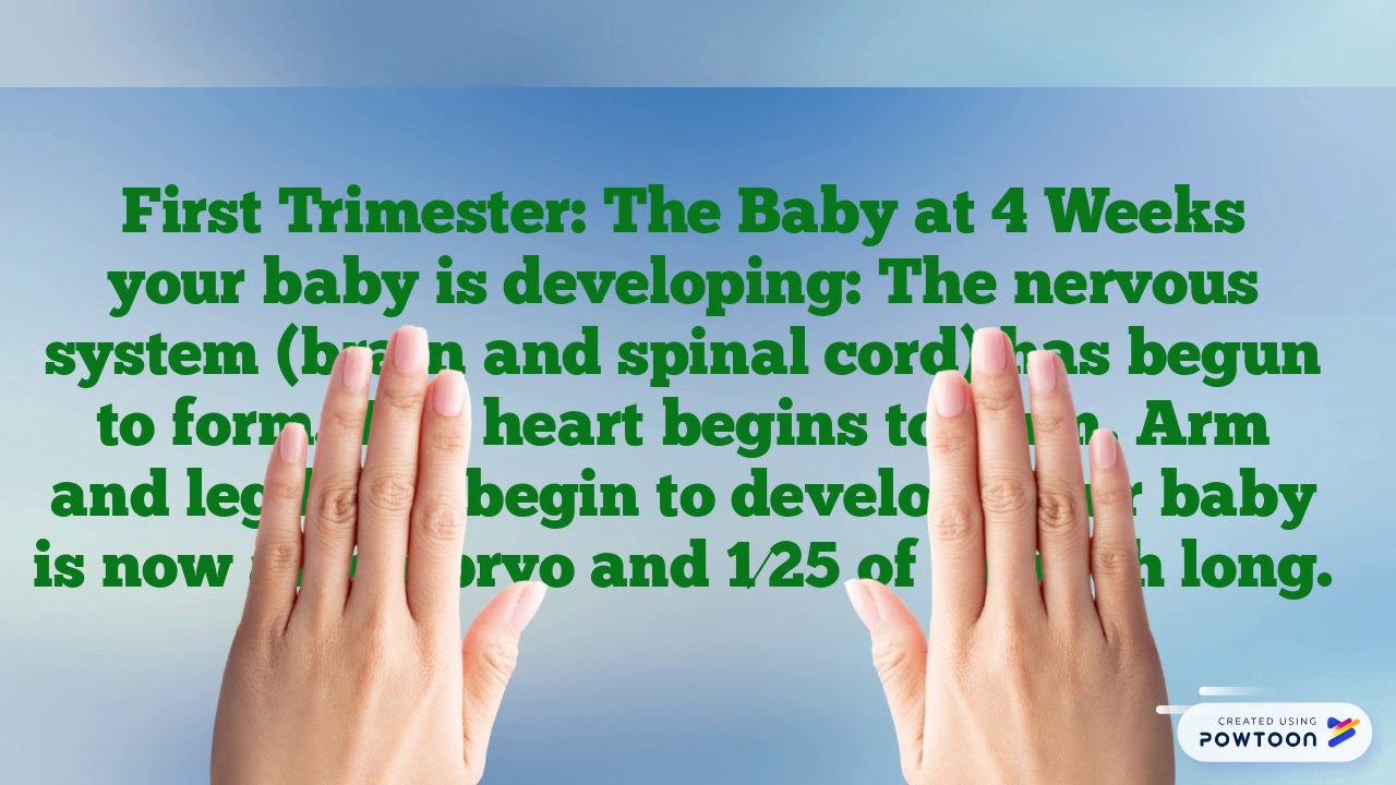 How To Calculate Your Pregnancy By Weeks months YouTube how-to-calculate-your-pregnancy-by-weeks-months-youtube