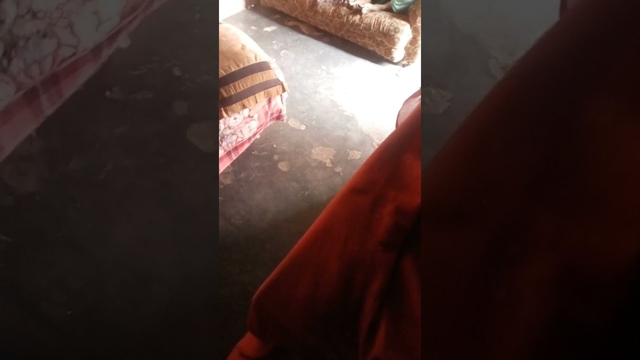 Rue gfvb h /:(=) g - YouTube