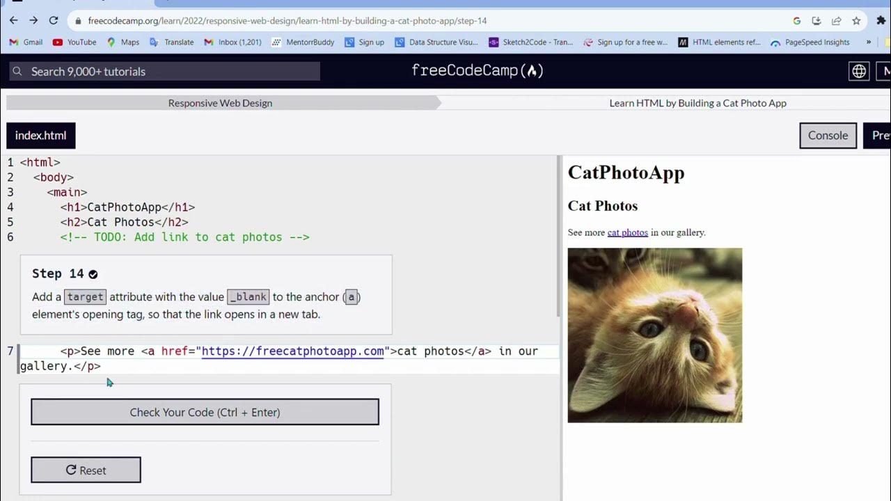 Learn HTML By building a cat photo app Step - 14 | freeCodeCamp Responsive Web Design - YouTube