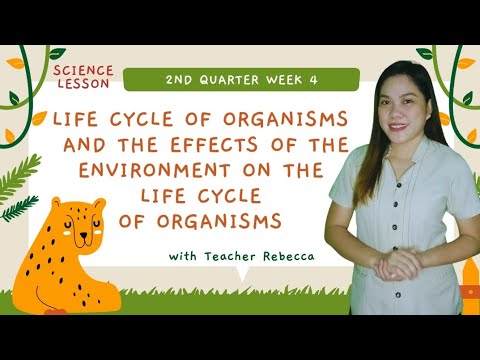 Science 4 Quarter 2 Life Cycle of Organisms - YouTube