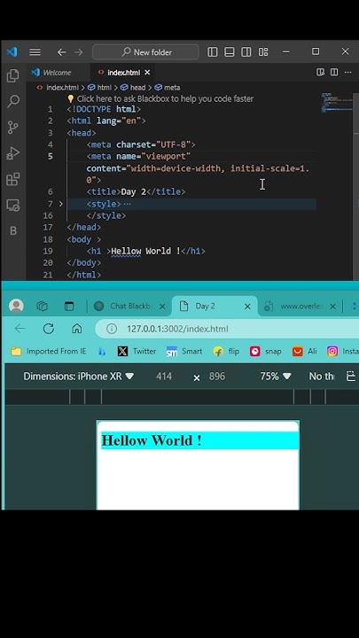 Day 2 Meta Tag #coding #webproject #html5tutorial - YouTube
