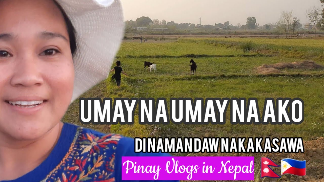 Nakakaumay na!Kayo ba sawa na ba kayo? #countrysidedailylife #nature # ...