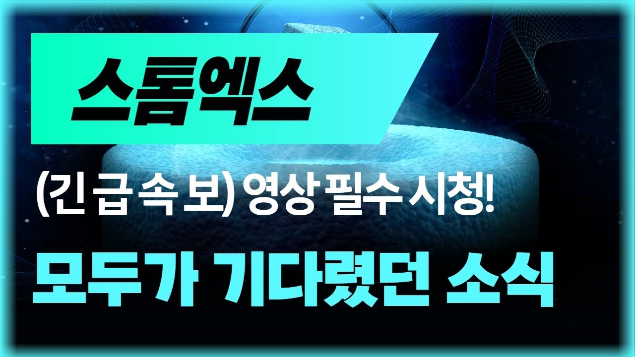 스톰엑스 꼭 이렇게 대응하세요 이 영상 하나로 종결 스톰엑스 스톰엑스코인 스톰엑스전망 스톰엑스목표가 스톰엑스호재 급등